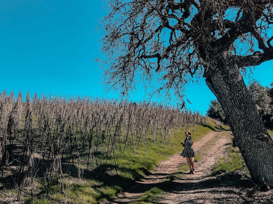 Instagrammable Photo Spots in Solvang - Girl With Blue Sails